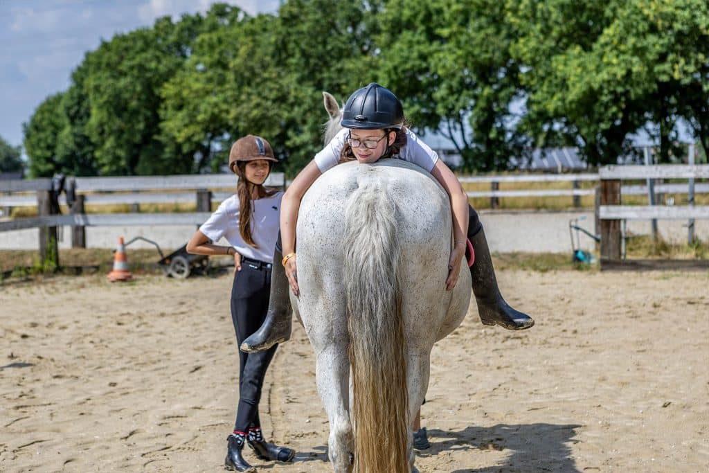 Reitpädagogik als ganzheitlicher Lernansatz für Kinder und Jugendliche - FamCademy
